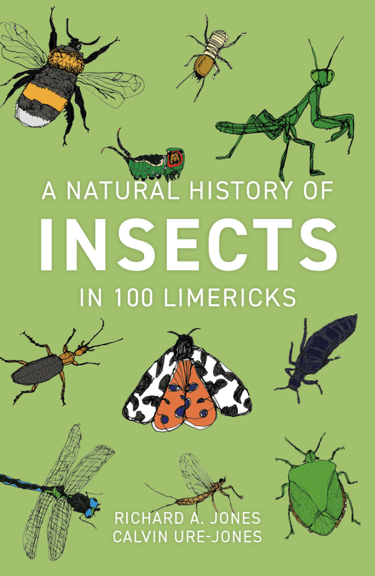 Bugman Jones | The life and times of a curious entomologist